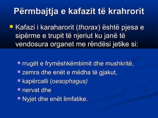 L1 thorax muret | PPT