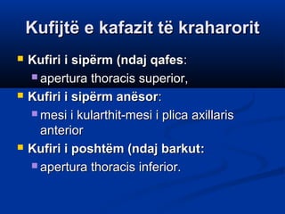 L1 thorax muret | PPT