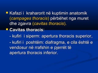 L1 thorax muret | PPT
