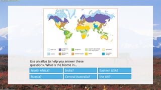 L1- What is a Biome Lesson for Year 5 students | PPT
