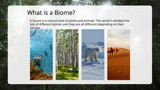 L1- What is a Biome Lesson for Year 5 students | PPT