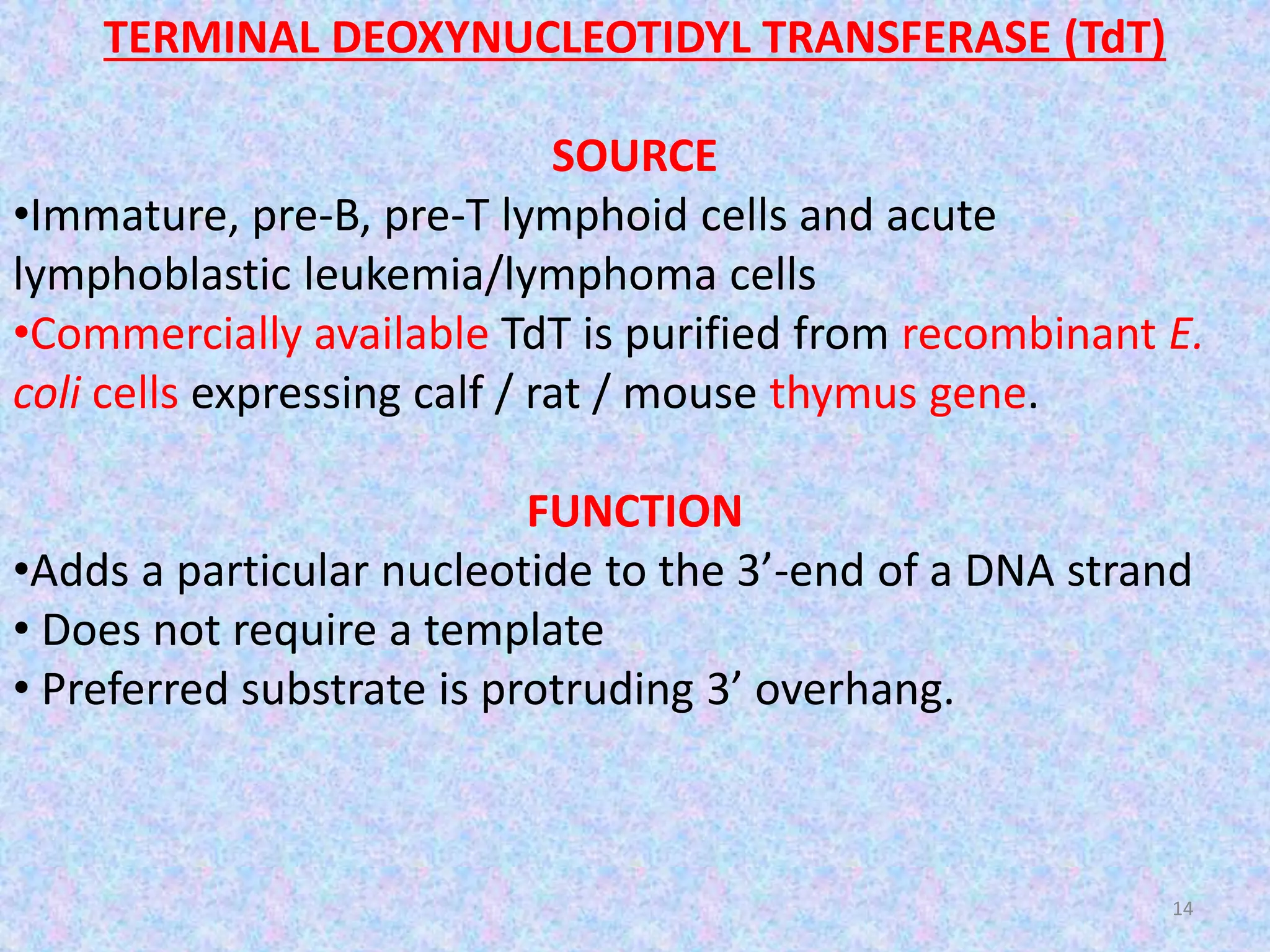 L10. enzymes used in genetic engineering i-1 | PPTX