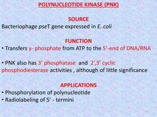 L10. enzymes used in genetic engineering i-1 | PPTX