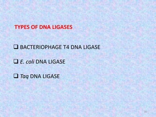 L10. enzymes used in genetic engineering i-1 | PPTX
