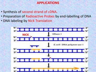 L10. enzymes used in genetic engineering i-1 | PPTX