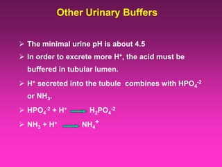 L10- Buffer systems.ppt | Lung and Respiratory Health | Diseases and ...