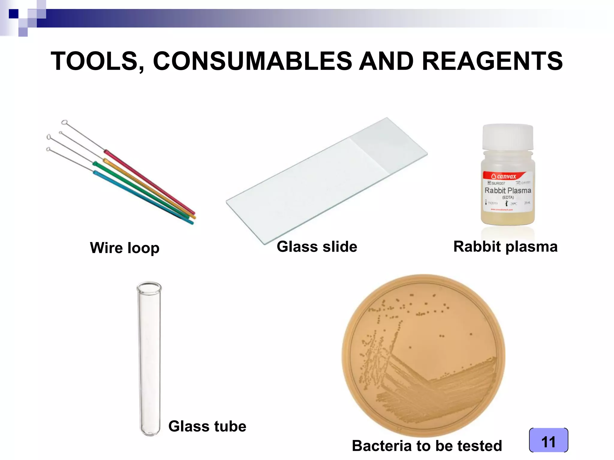 Medical Microbiology Laboratory (biochemical tests - i) | PDF