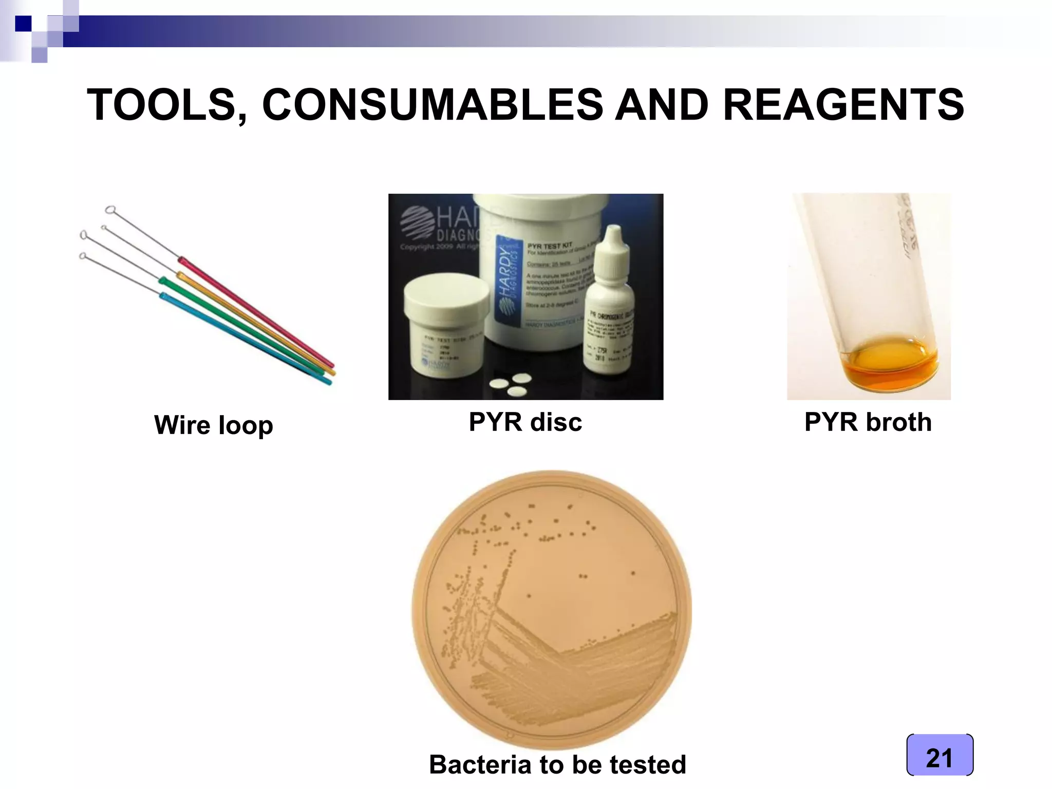 Medical Microbiology Laboratory (biochemical tests - i) | PDF