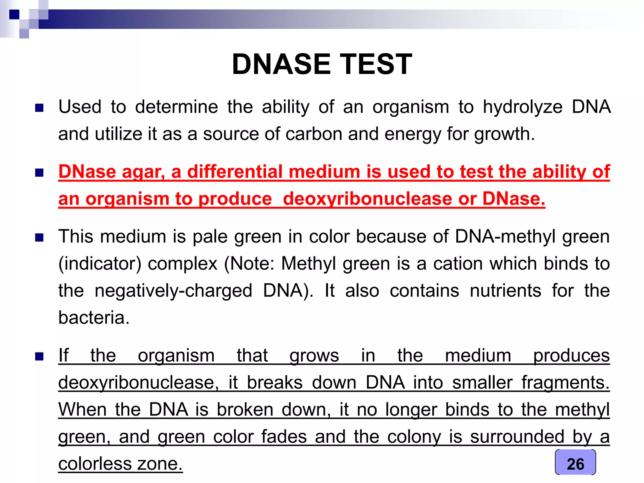 Medical Microbiology Laboratory (biochemical tests - i) | PDF