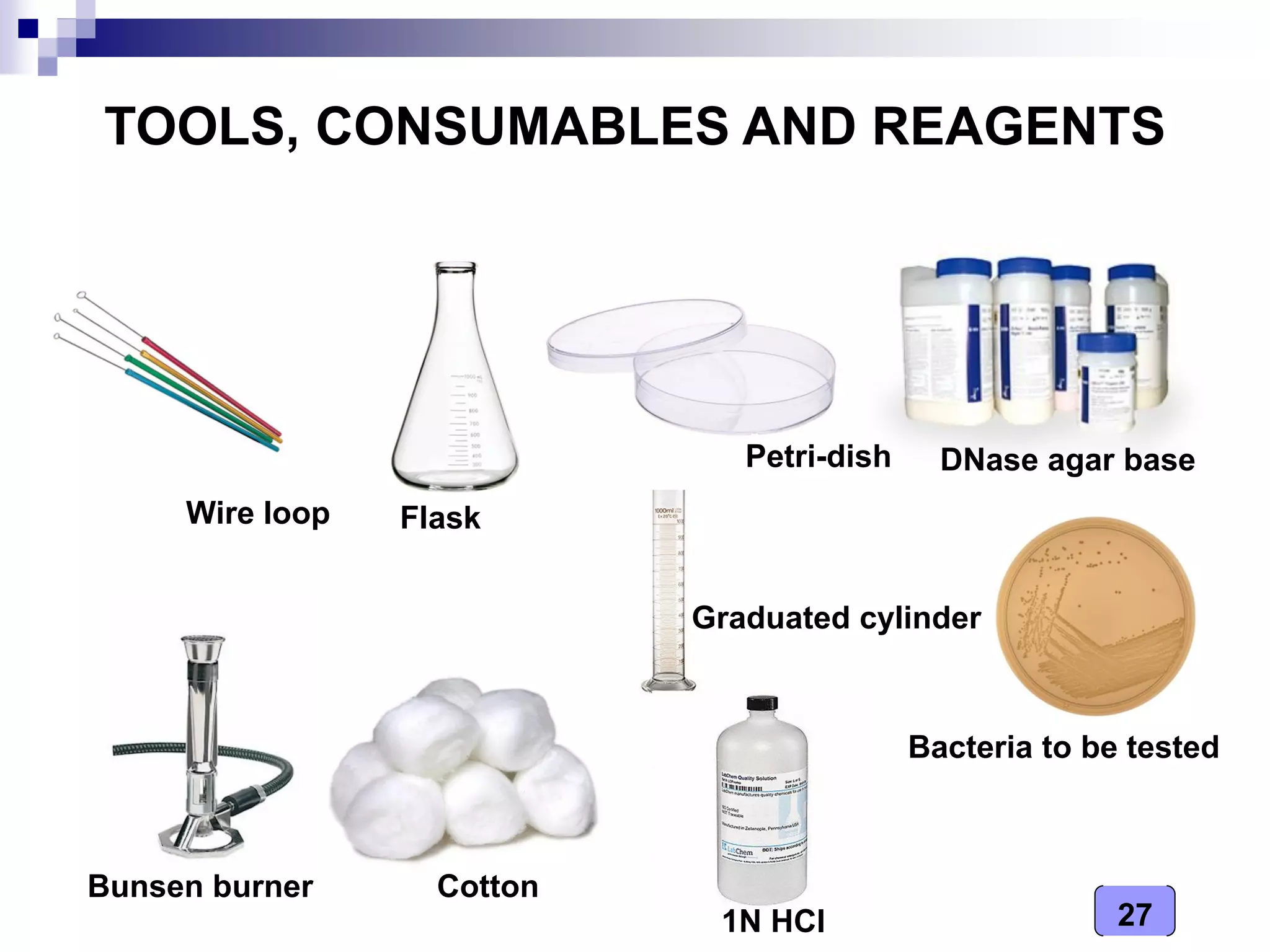 Medical Microbiology Laboratory (biochemical tests - i) | PDF