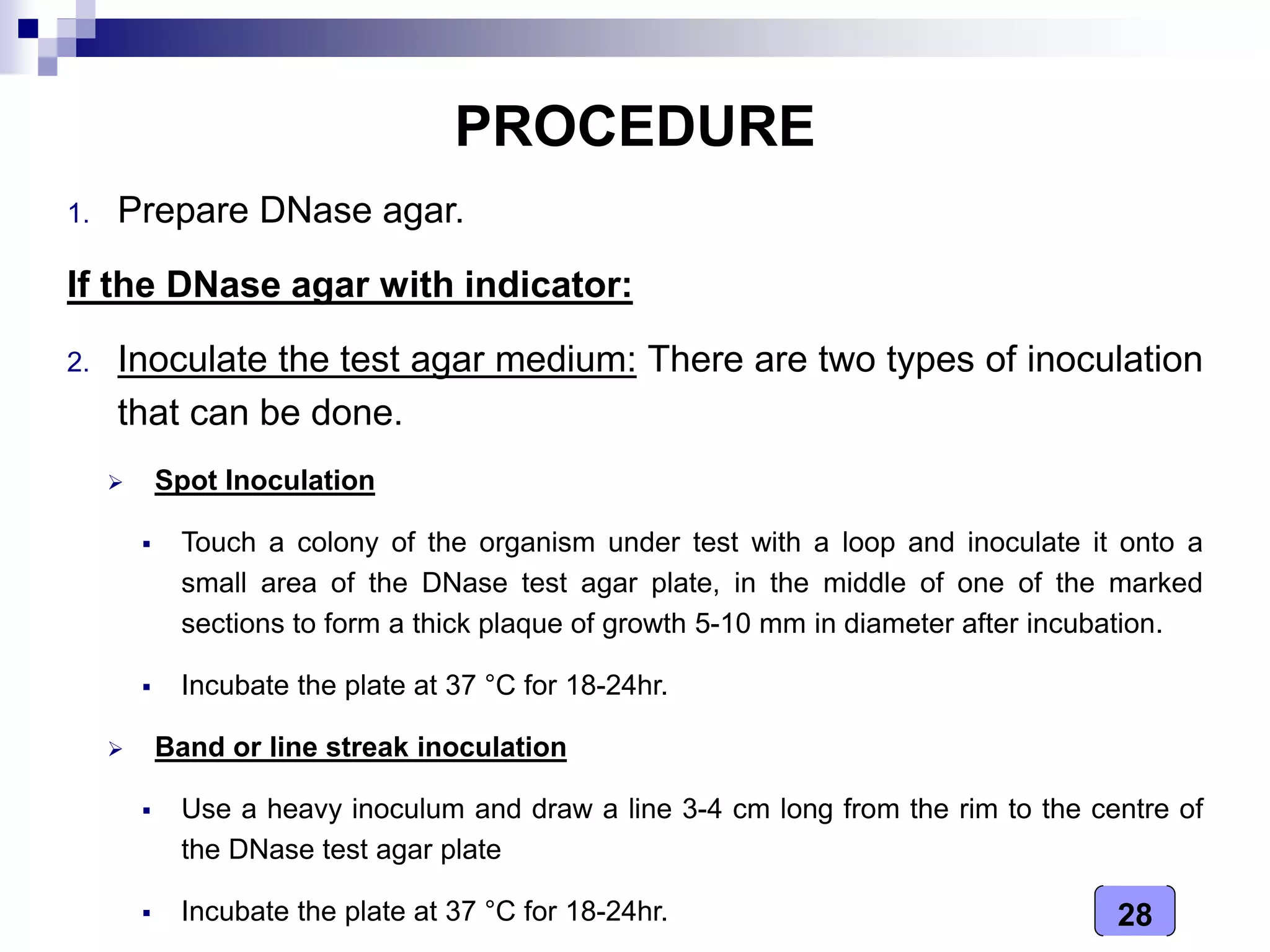 Medical Microbiology Laboratory (biochemical tests - i) | PDF