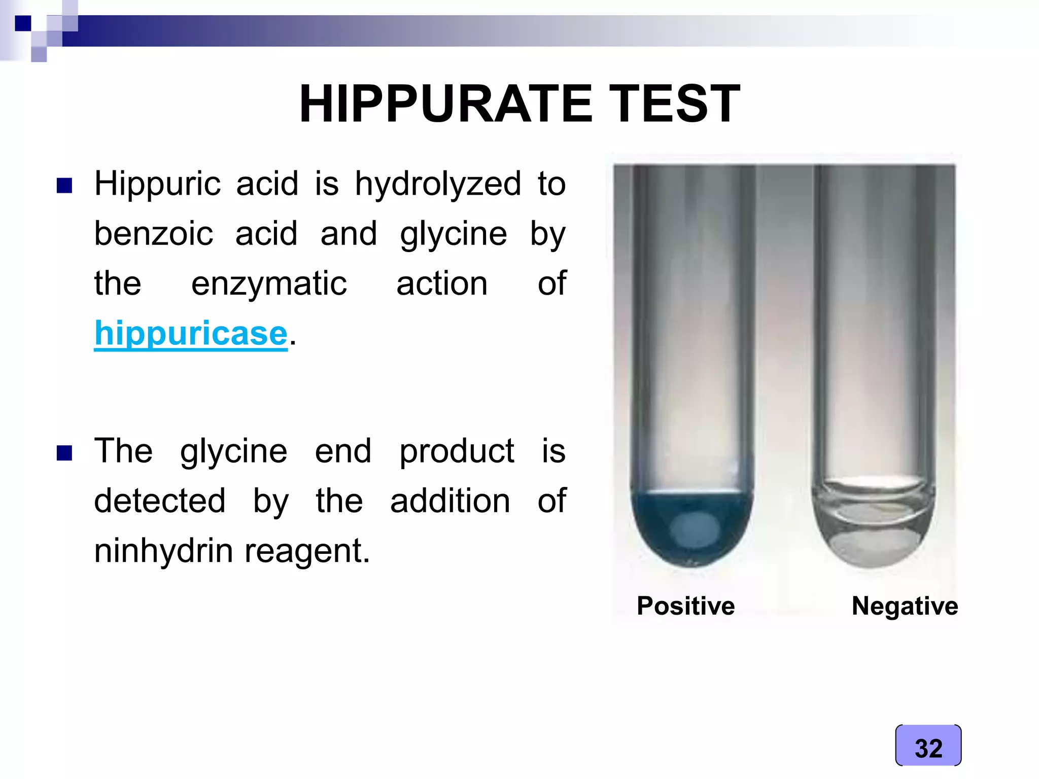 Medical Microbiology Laboratory (biochemical tests - i) | PDF