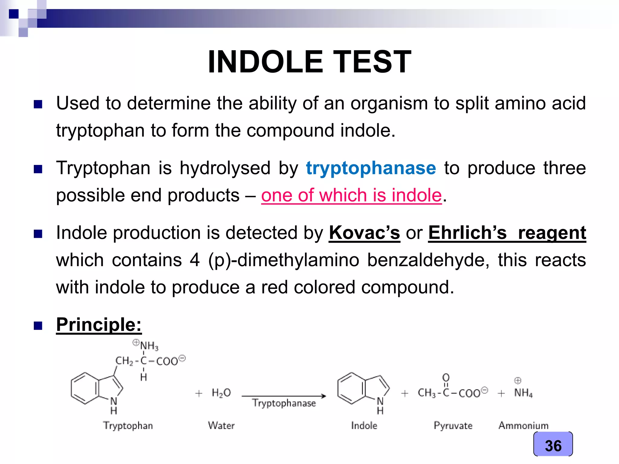 Medical Microbiology Laboratory (biochemical tests - i) | PDF