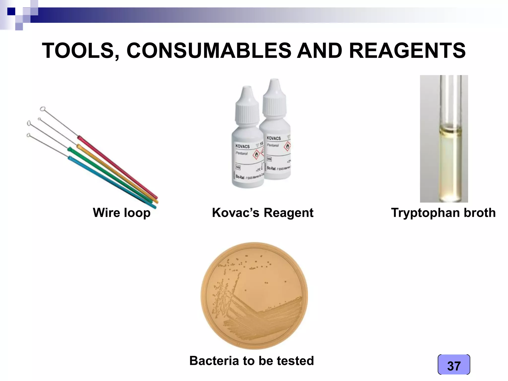 Medical Microbiology Laboratory (biochemical tests - i) | PDF