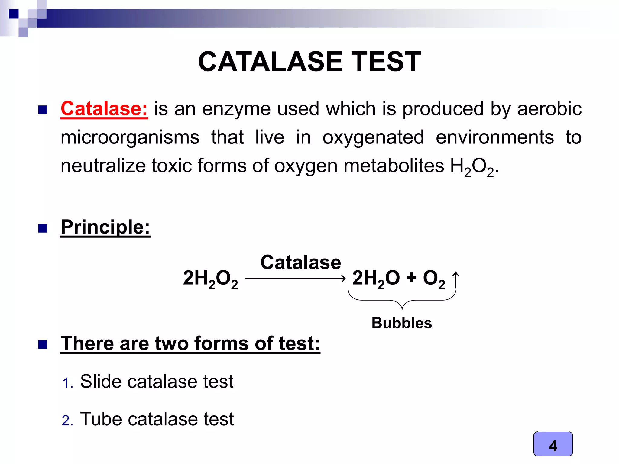 Medical Microbiology Laboratory (biochemical tests - i) | PDF