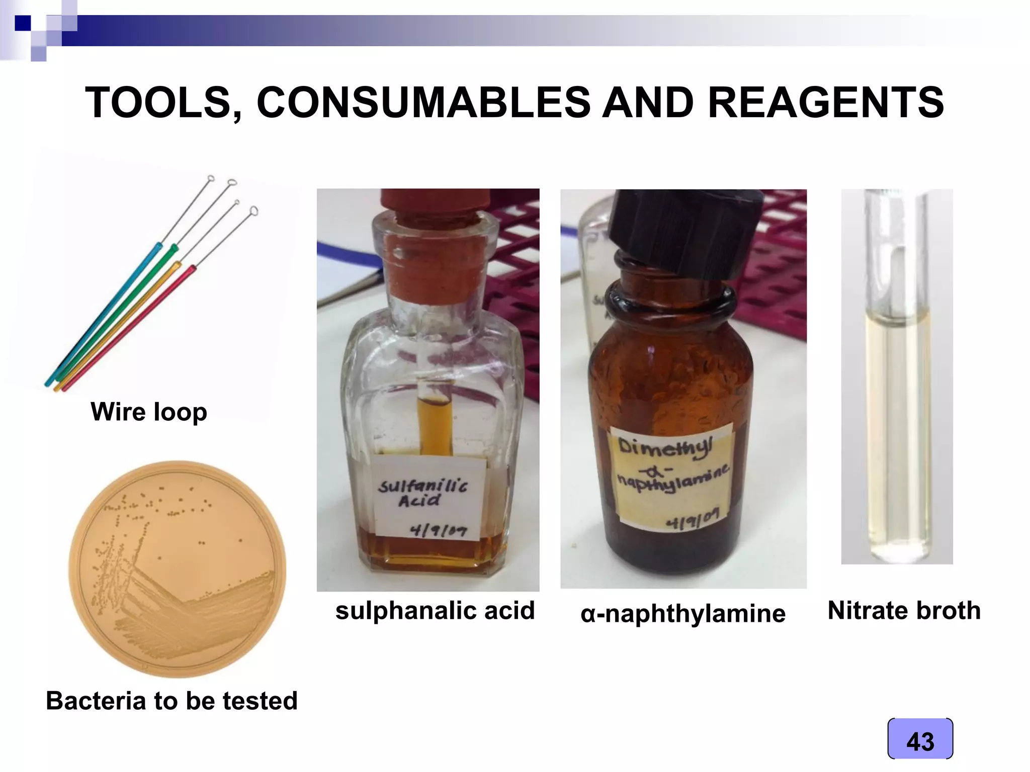 Medical Microbiology Laboratory (biochemical tests - i) | PDF