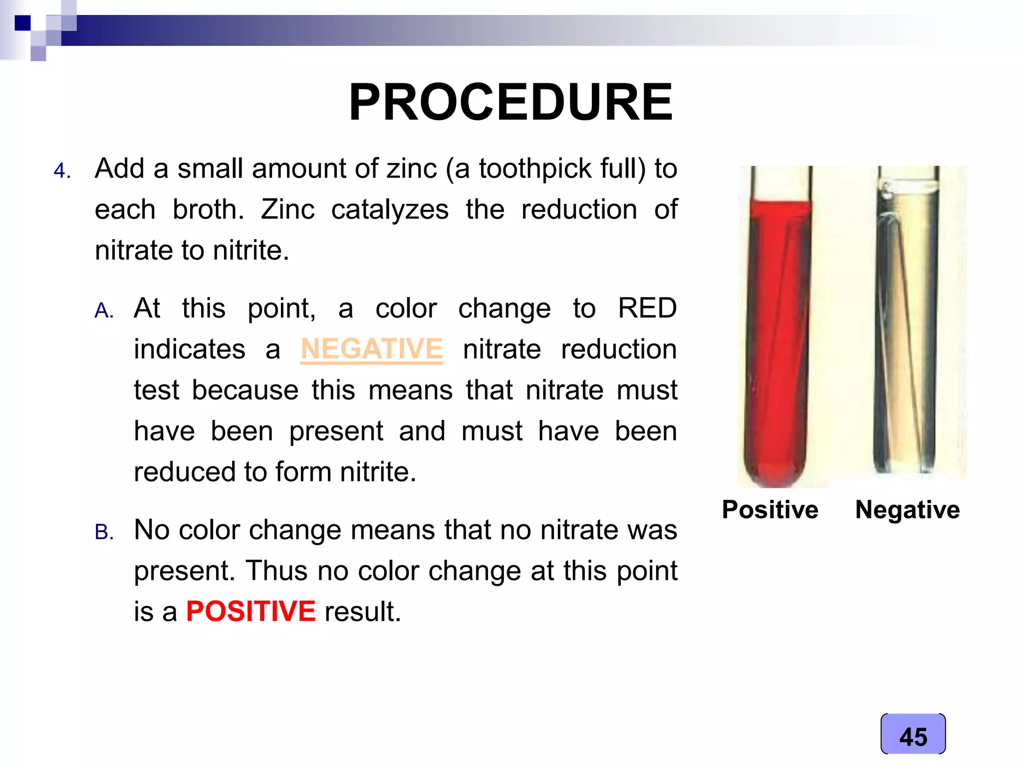 Medical Microbiology Laboratory (biochemical tests - i) | PDF
