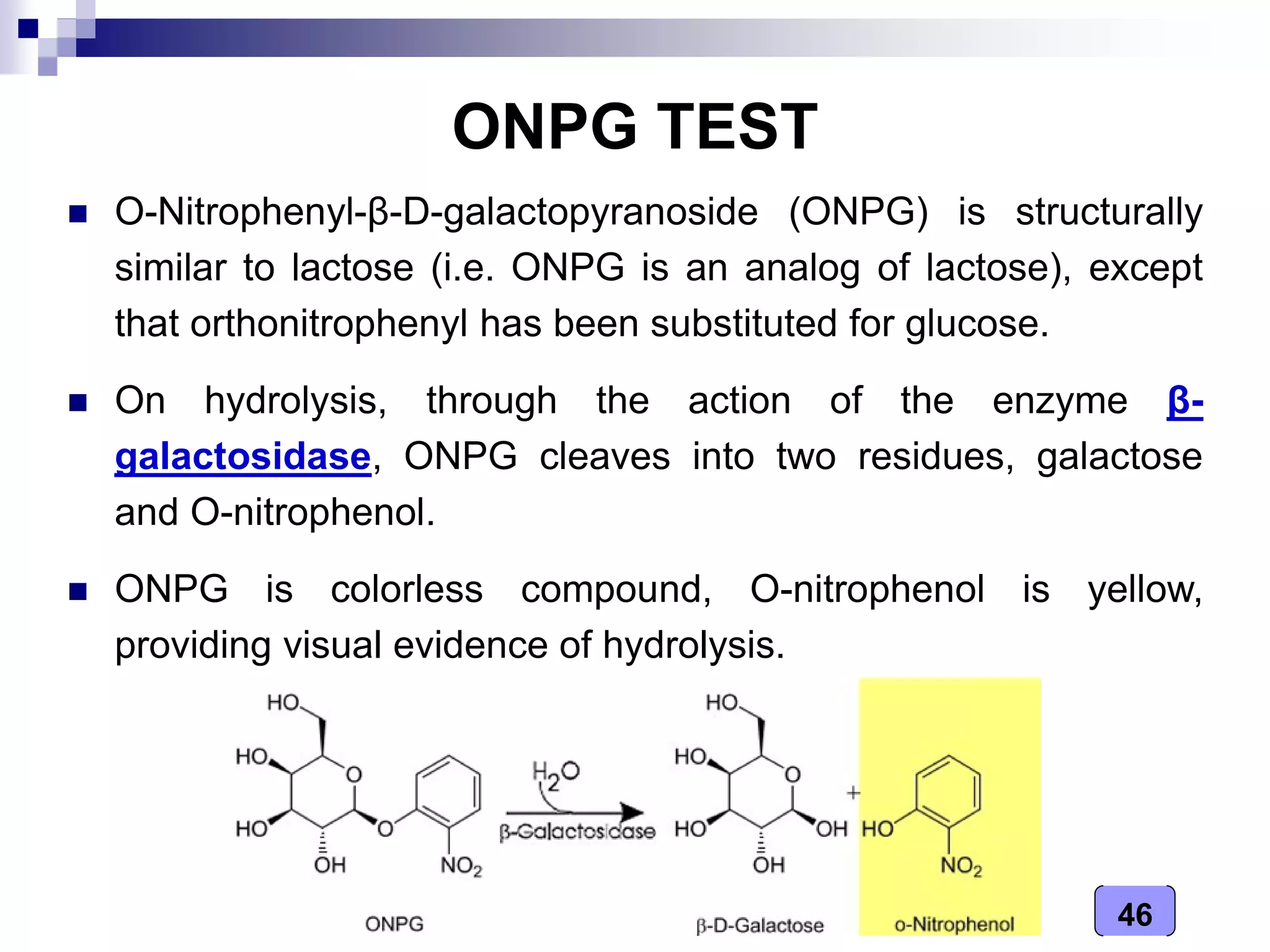 Medical Microbiology Laboratory (biochemical tests - i) | PDF