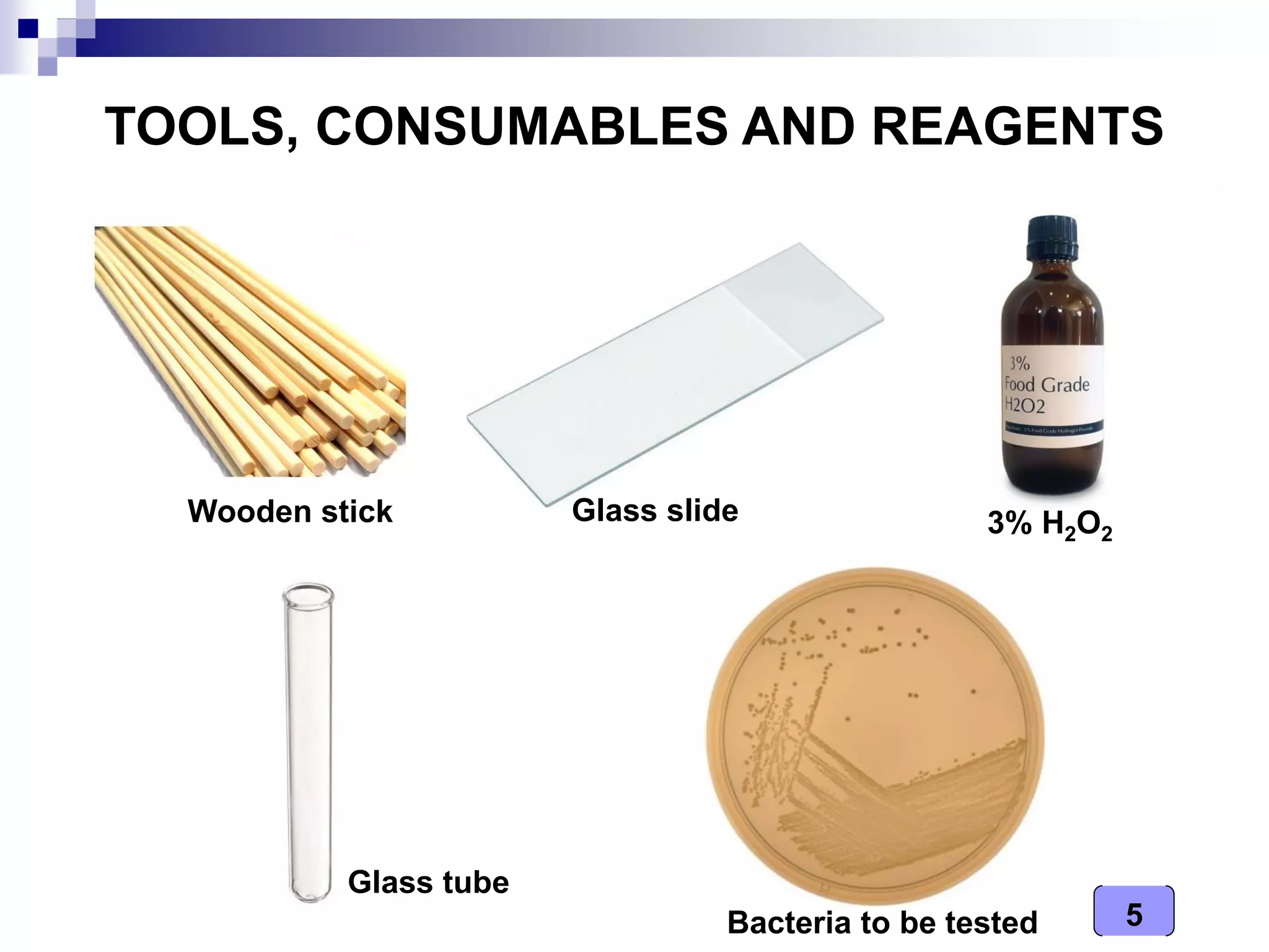 Medical Microbiology Laboratory (biochemical tests - i) | PDF