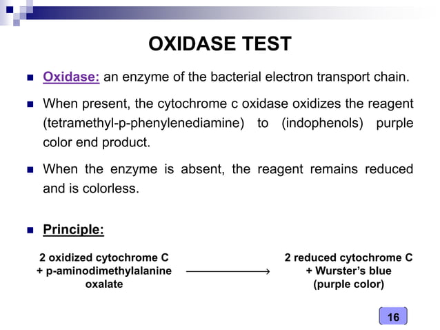 Medical Microbiology Laboratory (biochemical tests - i) | PDF | Blood ...