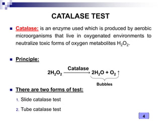 Medical Microbiology Laboratory (biochemical tests - i) | PDF