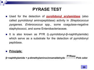 Medical Microbiology Laboratory (biochemical tests - i) | PPT
