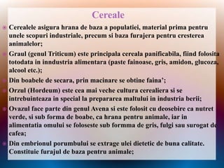 Sortimentul produselor din cereale | PPTX