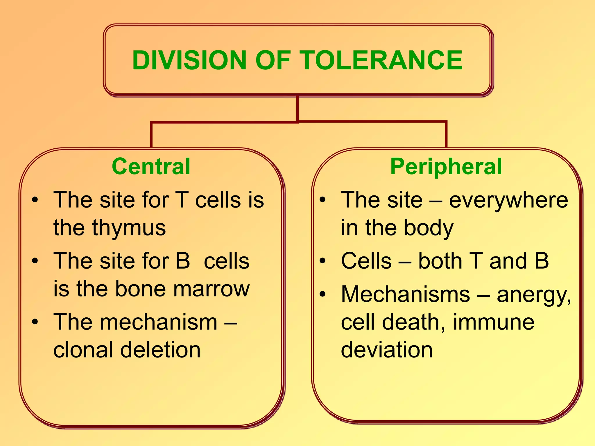 Immunology Tolerance.ppt