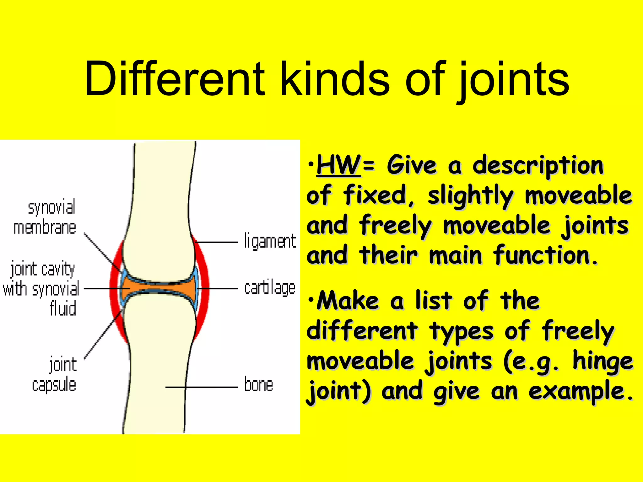 L10a Different Kinds Of Joints | PPT | Death, Injury, or Military Conflict | Sensitive Topics