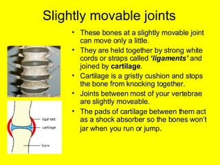 L10a Different Kinds Of Joints | PPT | Death, Injury, or Military ...
