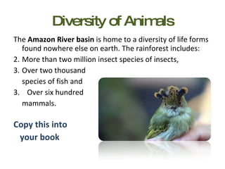 L10 Amazon Powerpoint | PPT