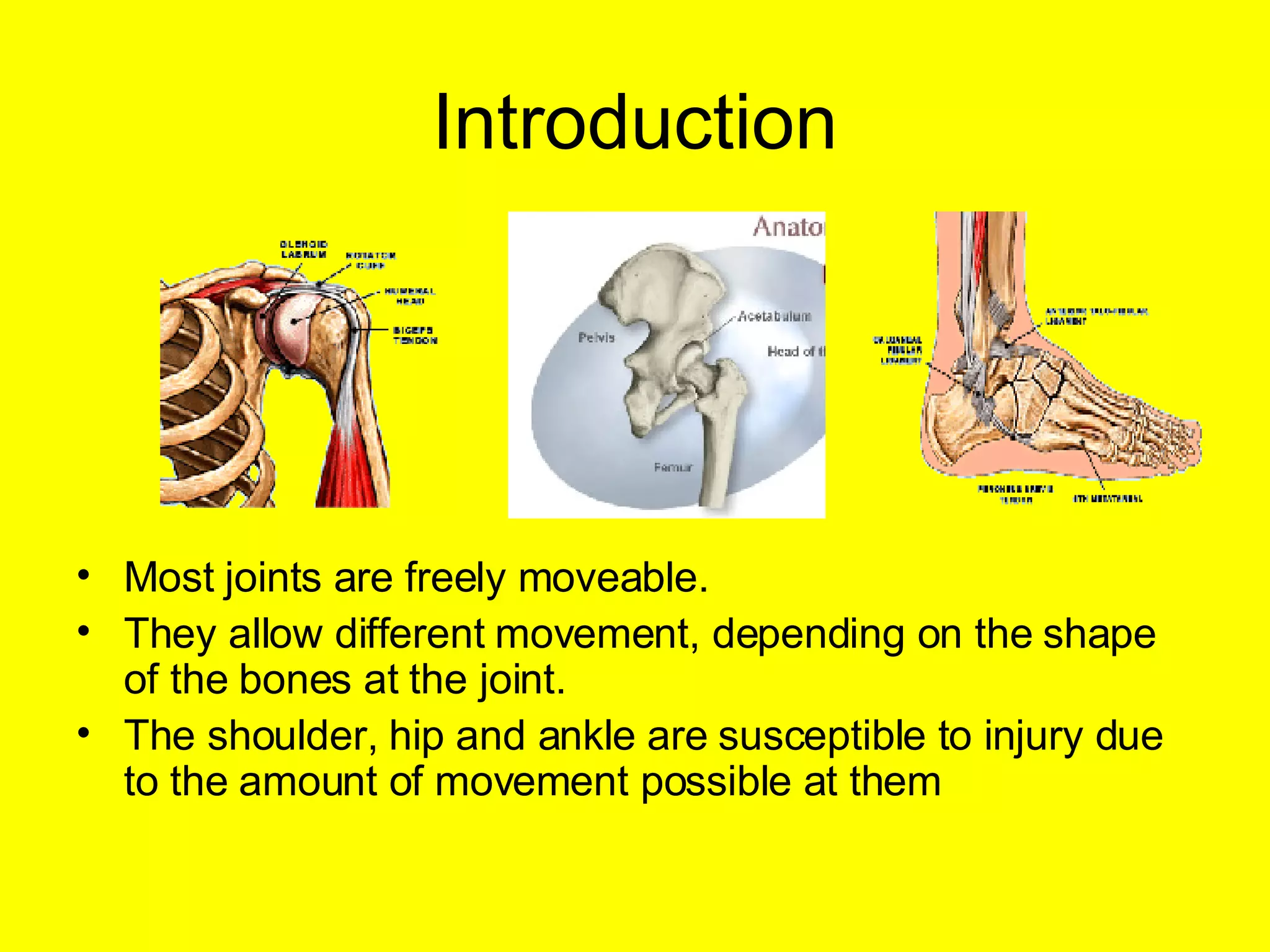 L10b Synovial Joints | PPT