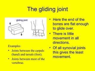 L10b Synovial Joints | PPT