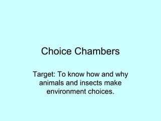 Lesson 10 choice chambers | PPT