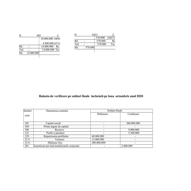Balanta de verificare - aplicatie | PPTX