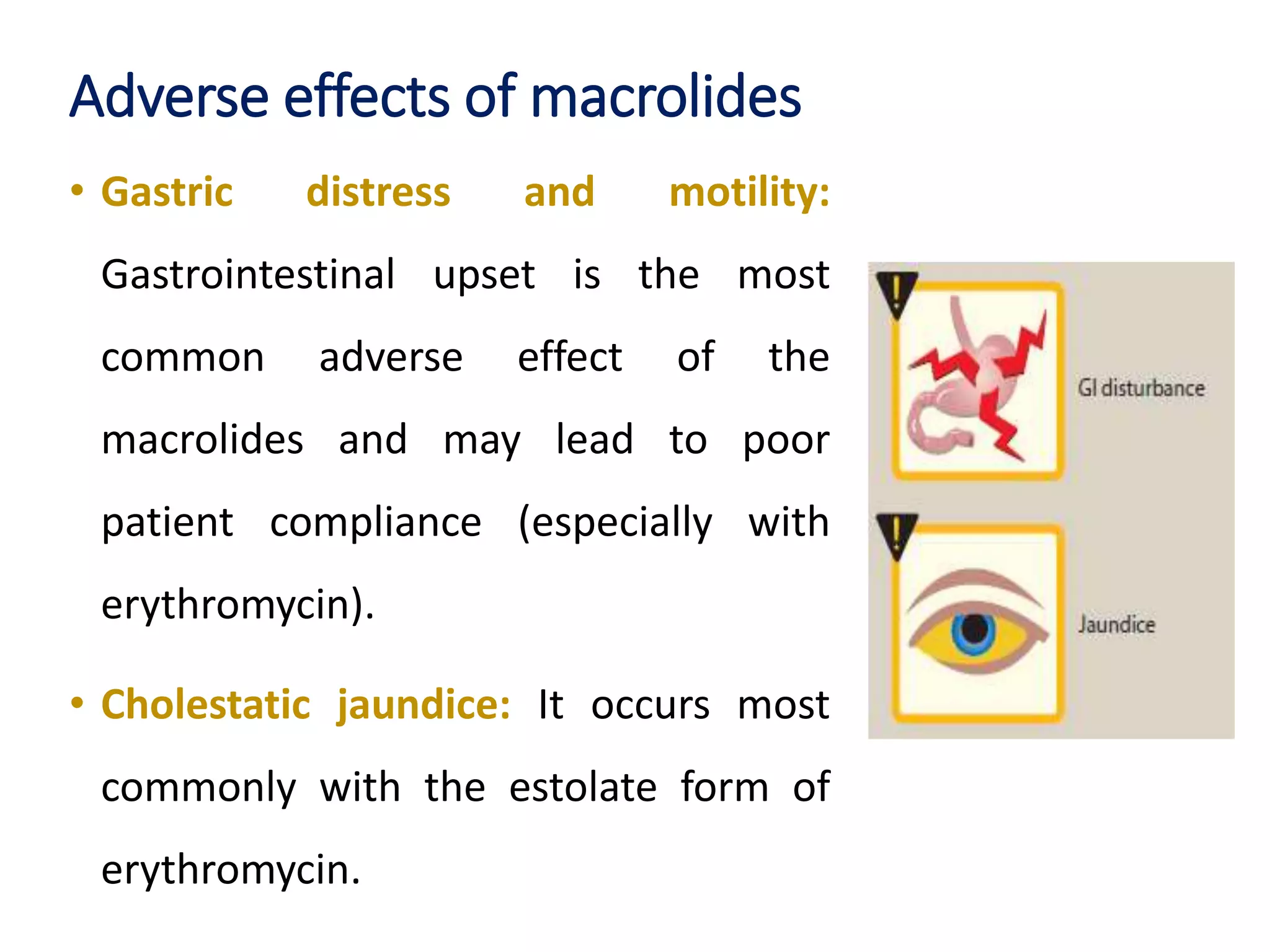 Macrolide antibiotics.pptx