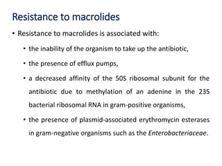 Macrolide antibiotics.pptx
