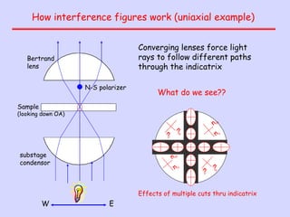 L 10 onwards Optical Mineralogy 3.pptx