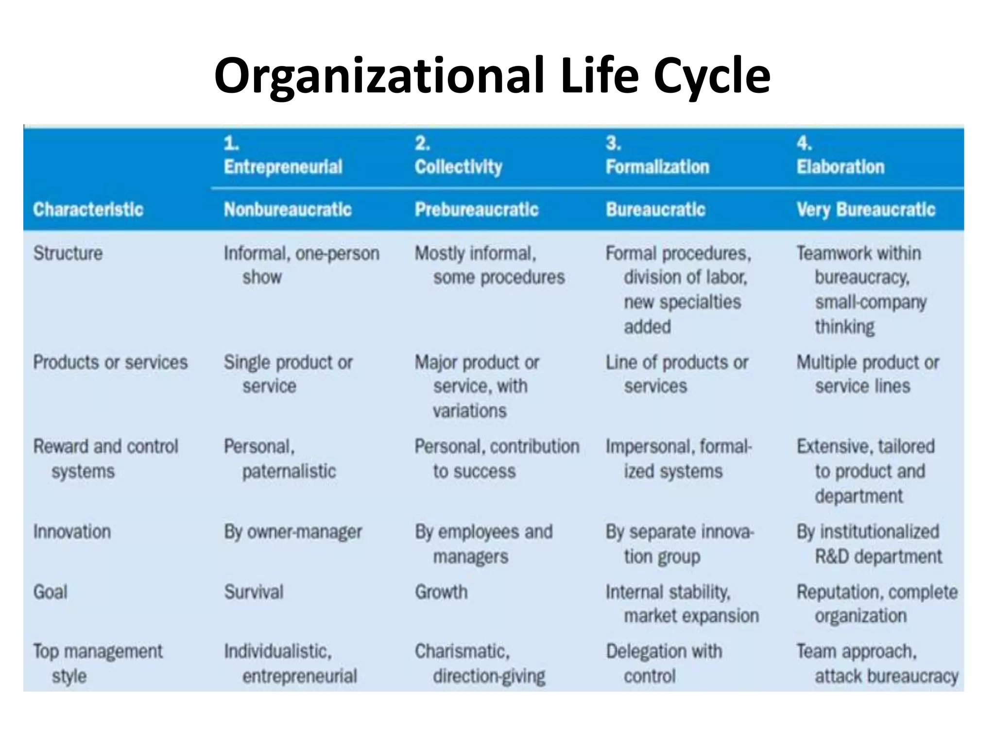 Org SIze, life ccycle.pptx