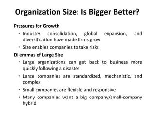 Org SIze, life ccycle.pptx