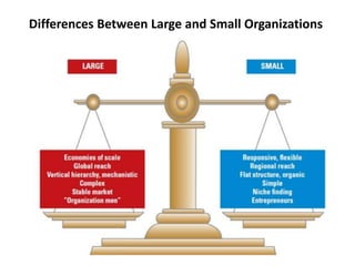 Org SIze, life ccycle.pptx