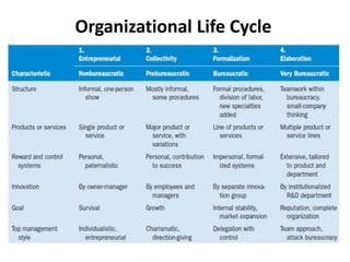 Org SIze, life ccycle.pptx
