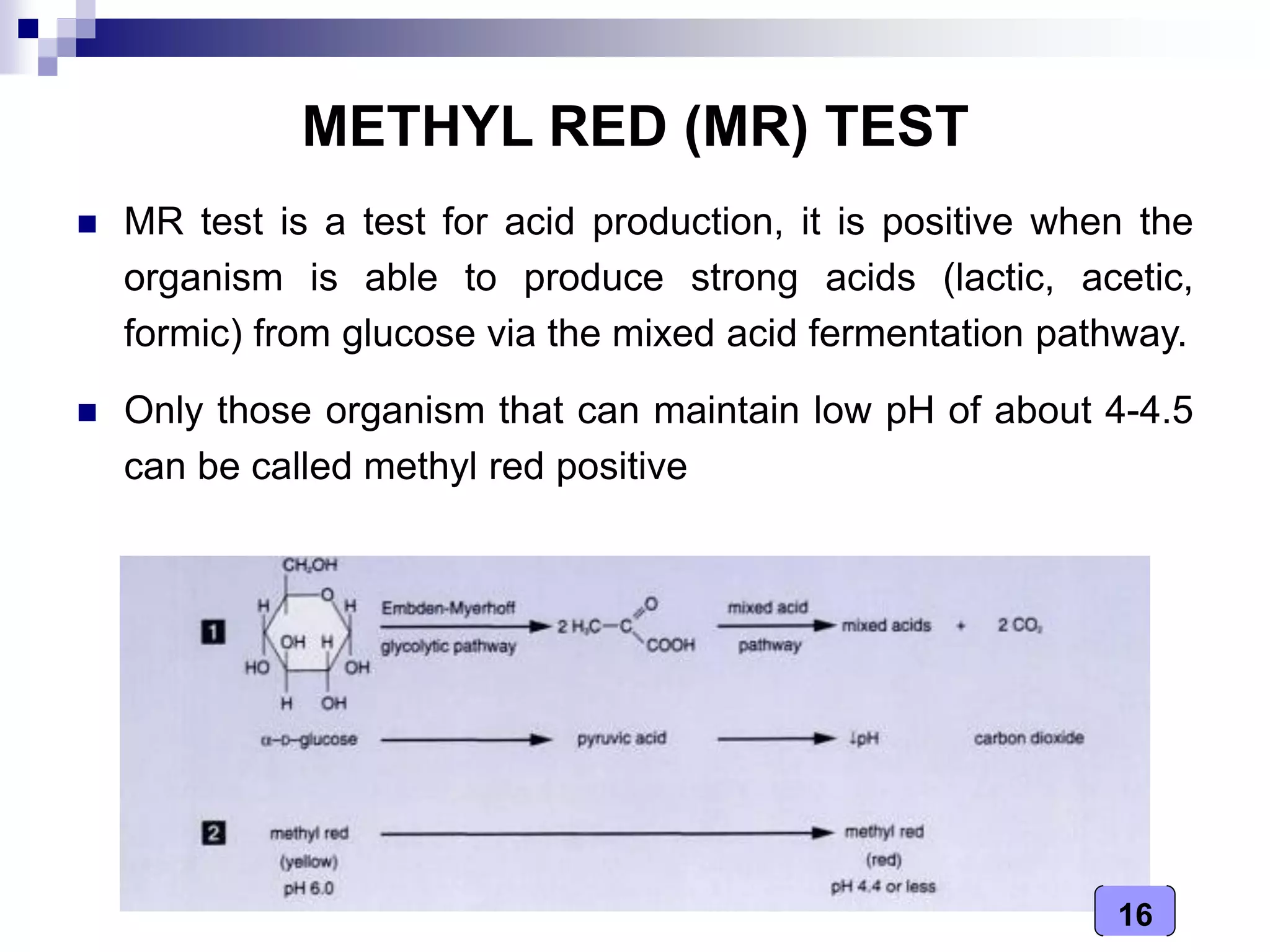 Medical Microbiology Laboratory (biochemical tests - ii) | PDF