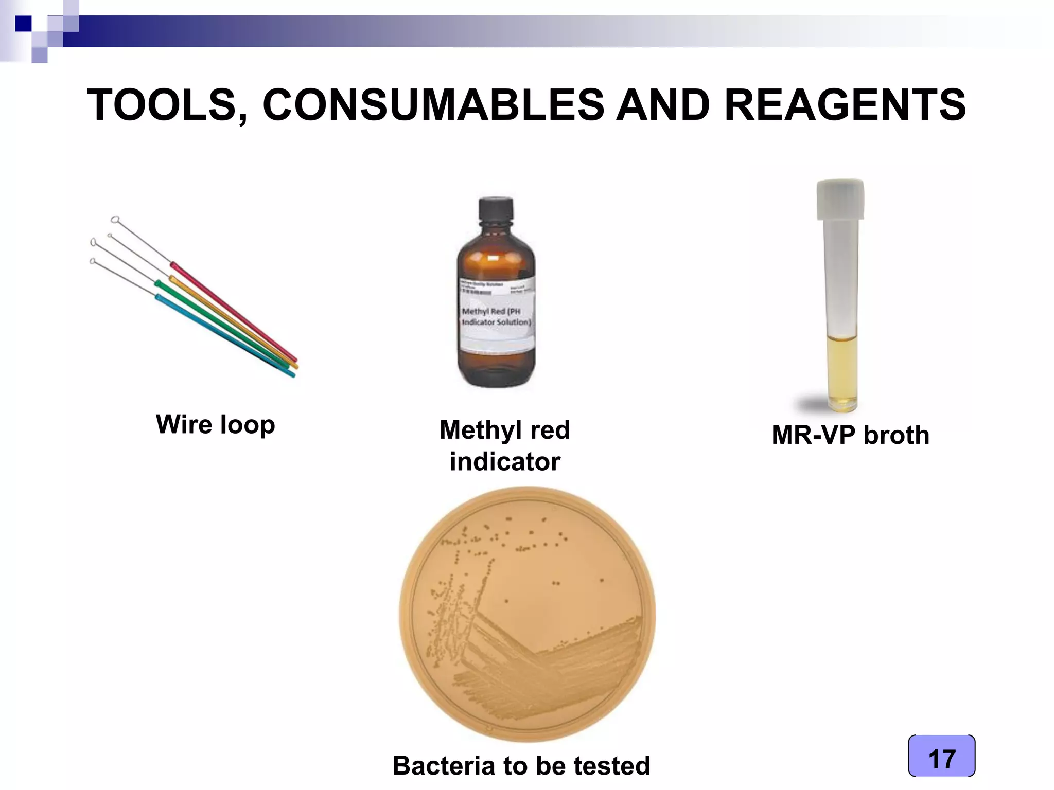Medical Microbiology Laboratory (biochemical tests - ii) | PDF