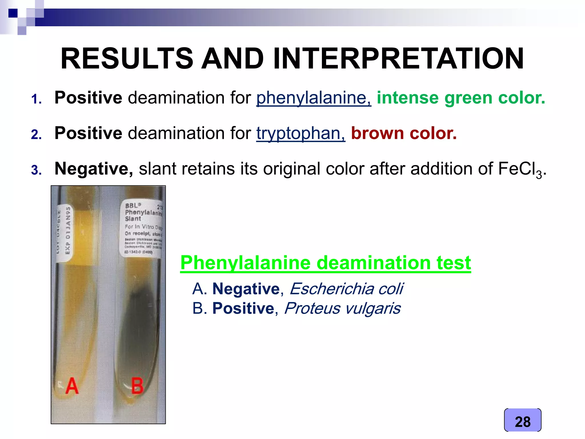 Medical Microbiology Laboratory (biochemical tests - ii) | PDF