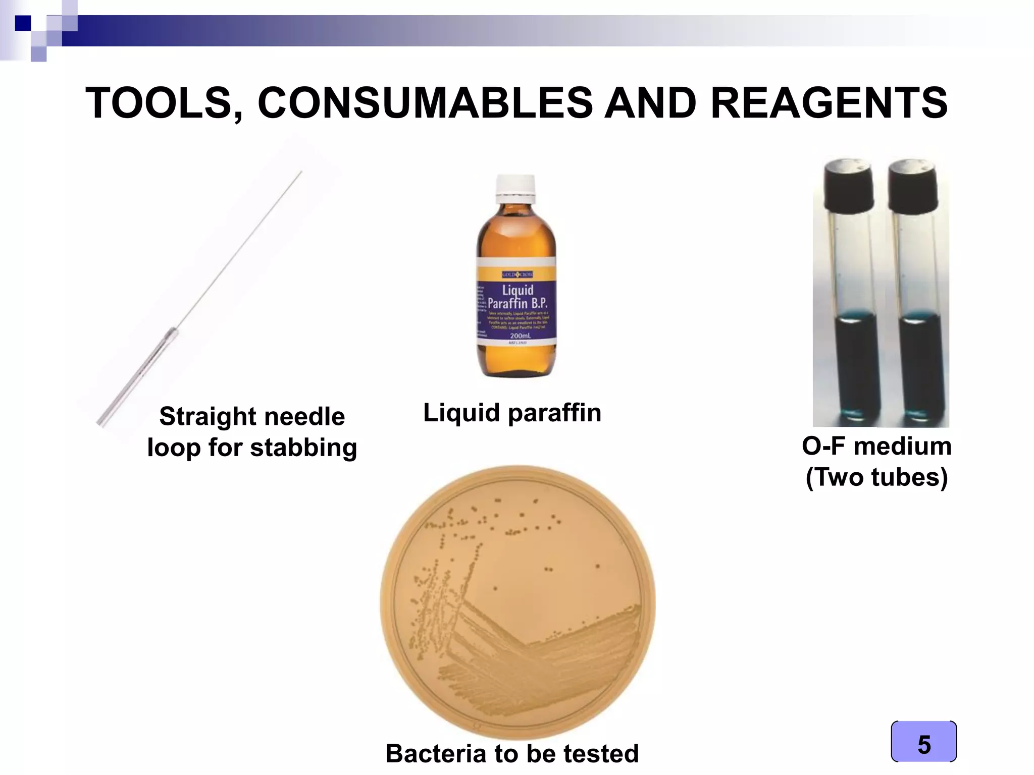 Medical Microbiology Laboratory (biochemical tests - ii) | PDF ...