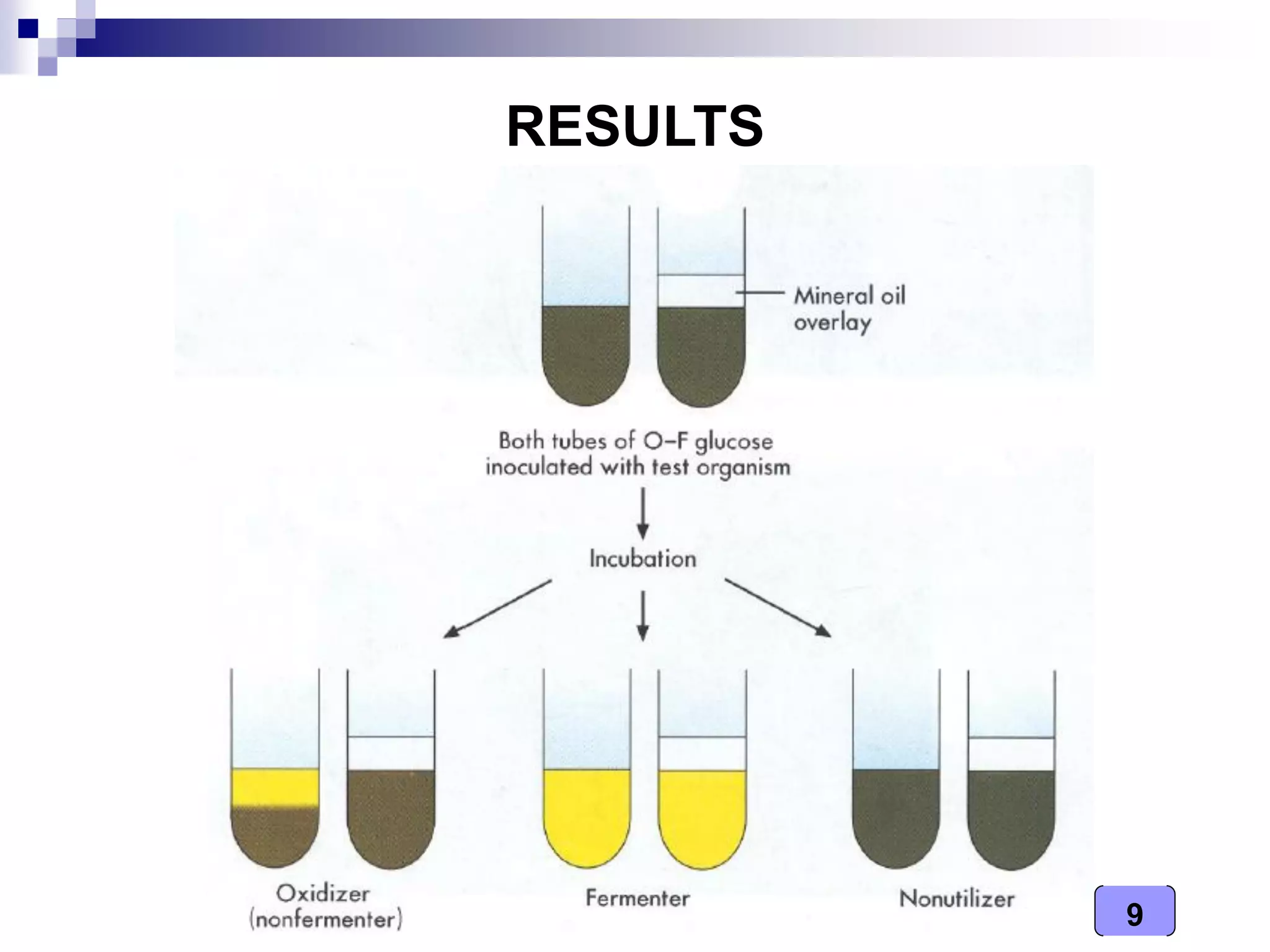 Medical Microbiology Laboratory (biochemical tests - ii) | PDF