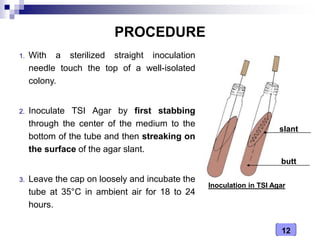 Medical Microbiology Laboratory (biochemical tests - ii) | PDF