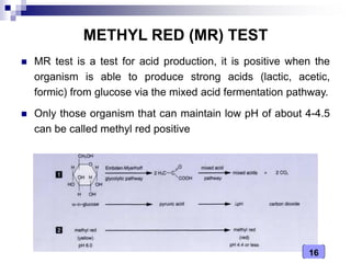 Medical Microbiology Laboratory (biochemical tests - ii) | PDF