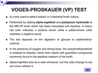 Medical Microbiology Laboratory (biochemical tests - ii) | PDF